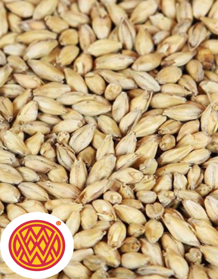 Weyermann Extra Pale Premium Pilsner Malt - 500g – Brew and Stuff