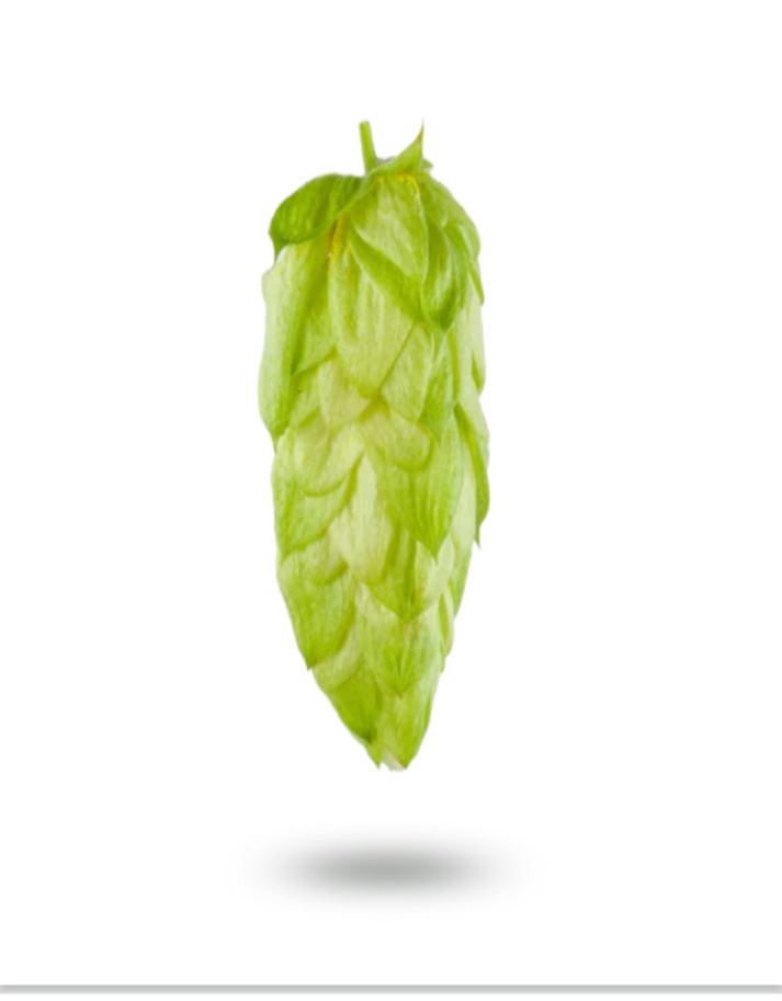 Nectaron Hops – Brew and Stuff