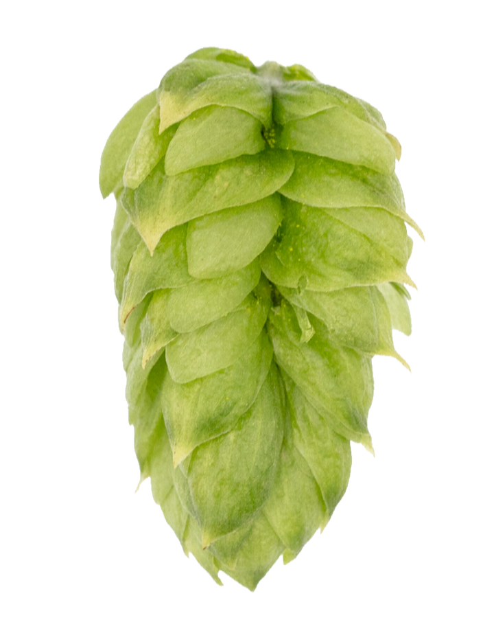 Sale – Brew and Stuff