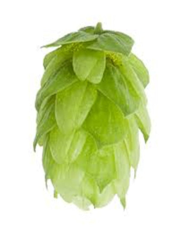 Columbus Hops – Brew and Stuff